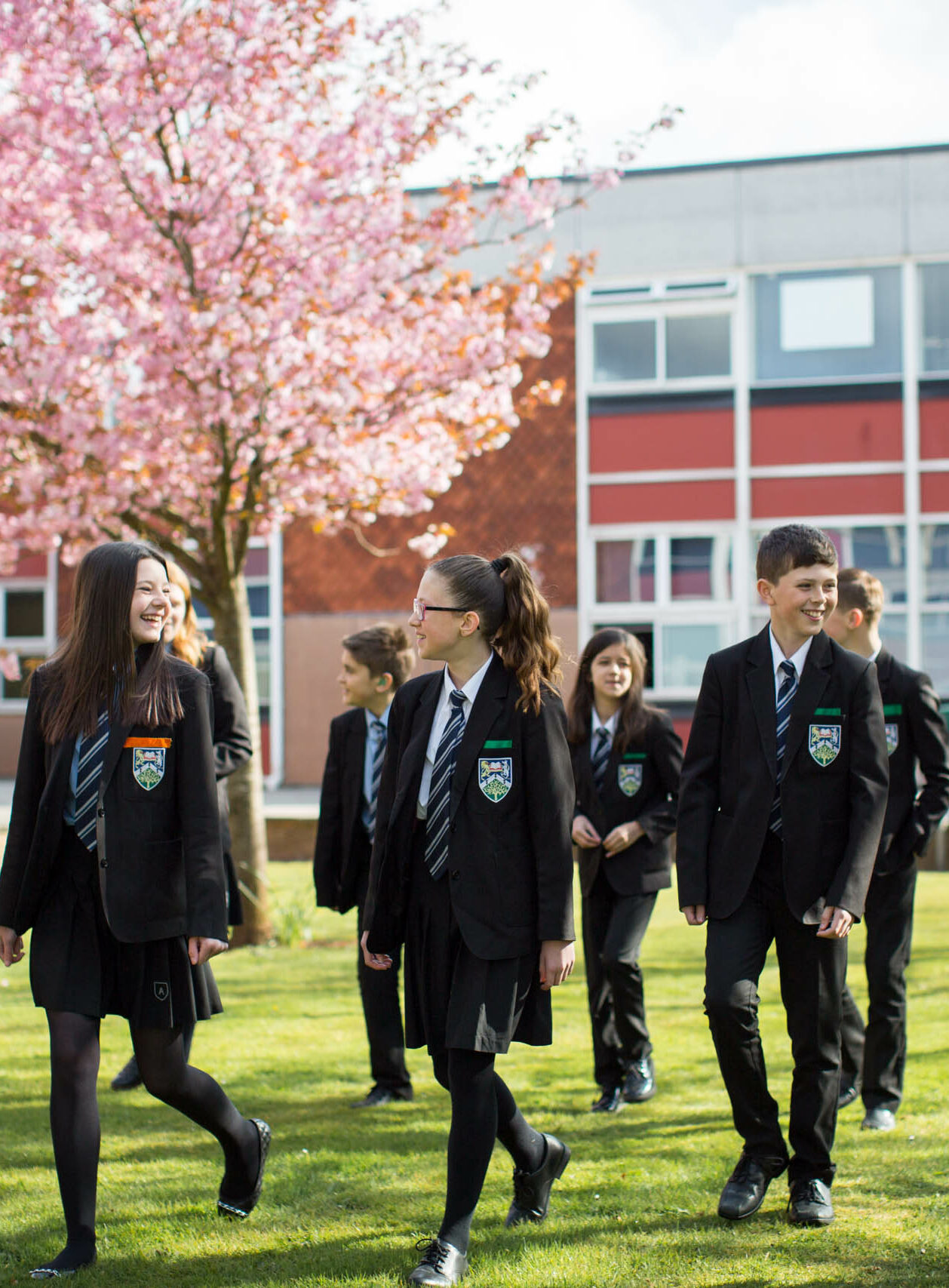 Curriculum Plans - Ashfield Comprehensive School